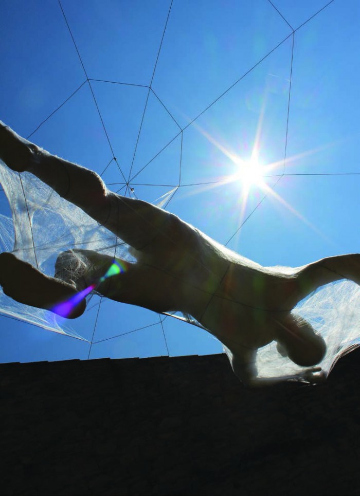 Julien Salaud - INSECT LIKE / LIKE INSECTS - AFIAC