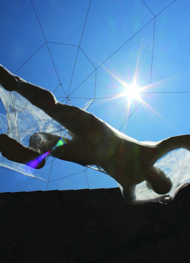 Julien Salaud - INSECT LIKE / LIKE INSECTS - AFIAC